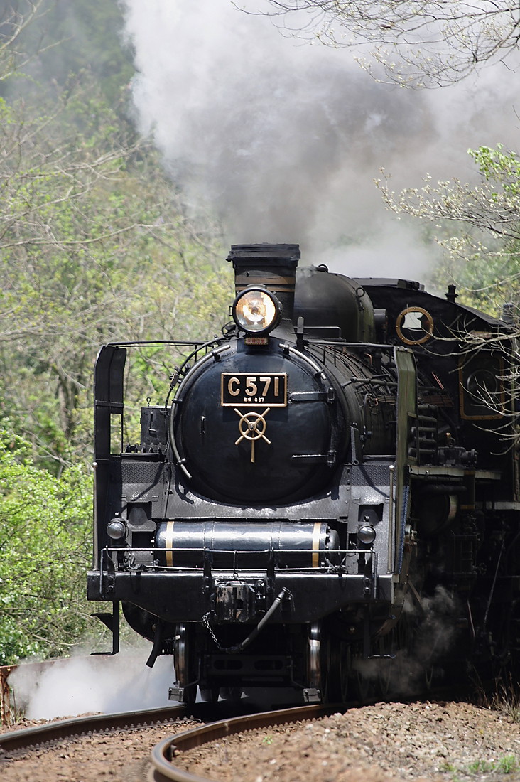 連休5日目(^_^;) 1/3…期せずしてSLやまぐち号 C571 : 写真を撮るということ山口県（旧：野鳥を撮るということ）