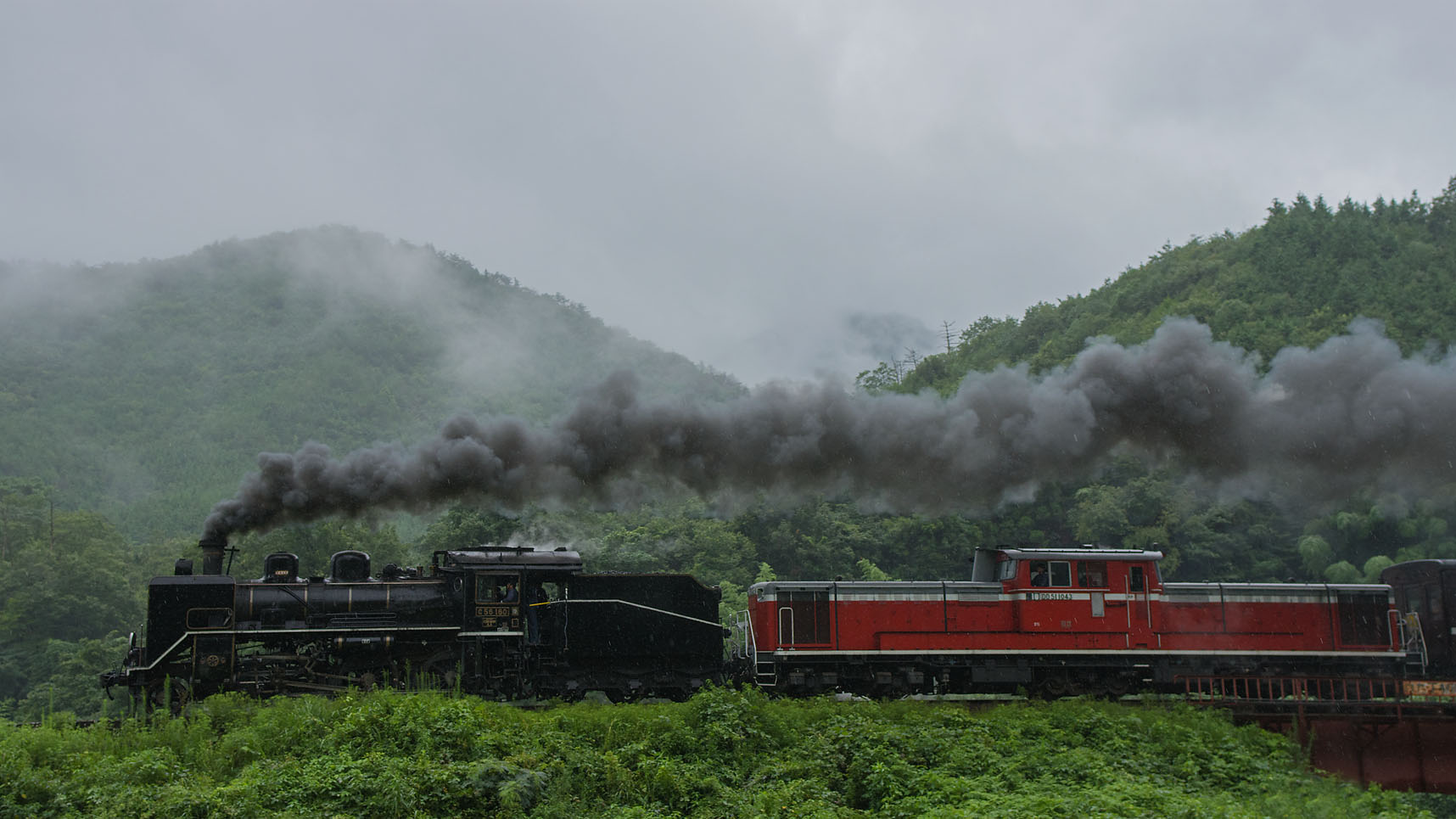 8月連休7日目！…ｶﾀﾂﾑﾘ、SLやまぐち号(C56+DD51)、盆提灯、杉能舎のﾋﾞｰﾙ : 写真を撮るということ山口県（旧：野鳥を撮るということ）