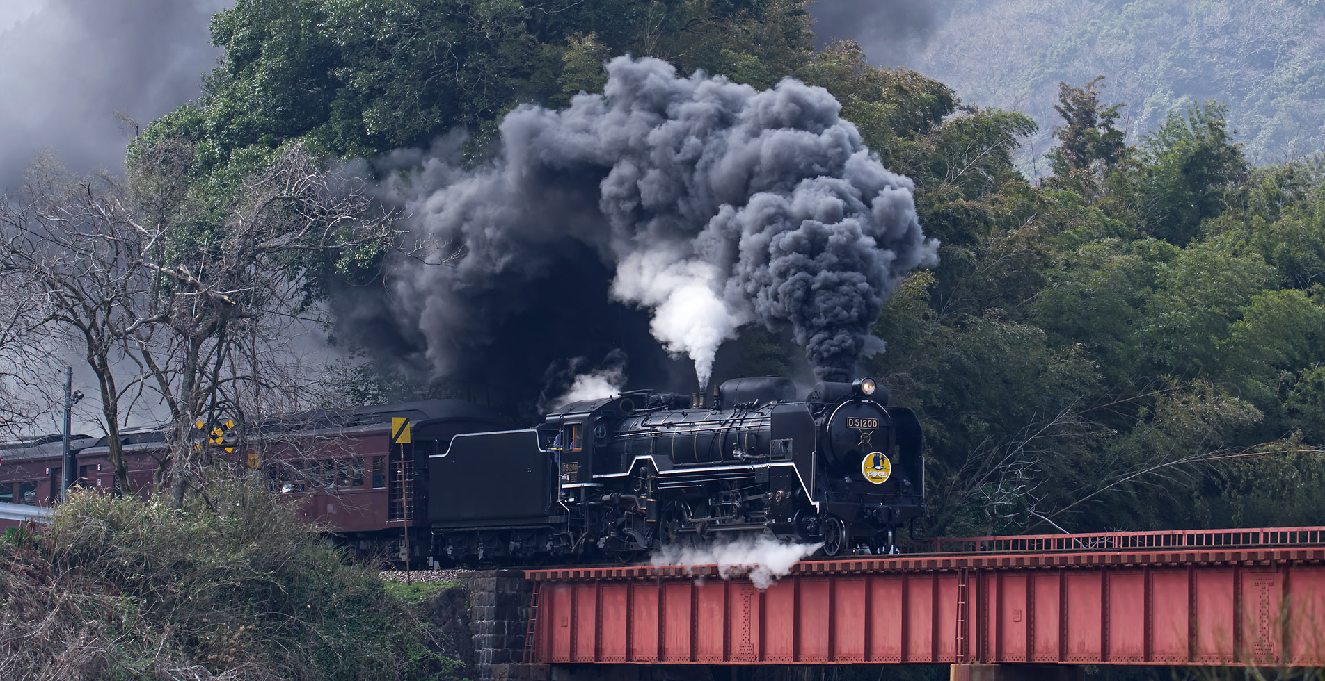 四兎を追う春(; ･`д･´) 2/3・・・桜の花、SLやまぐち号D51、 : 写真を撮るということ山口県（旧：野鳥を撮るということ）