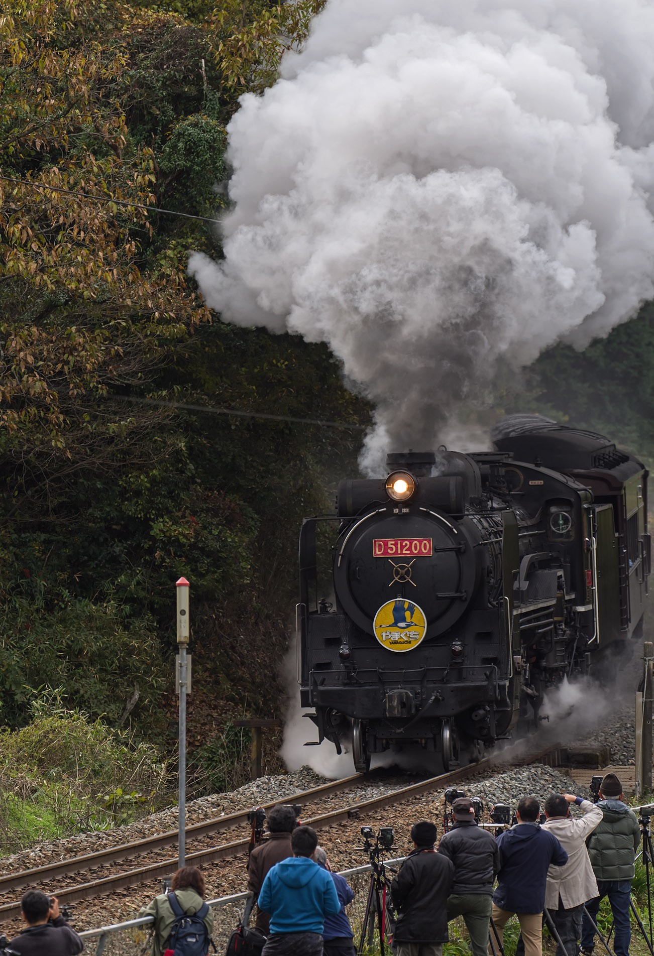 デゴイチ！ 2/2・・・SLやまぐち号D51 : 写真を撮るということ山口県（旧：野鳥を撮るということ）