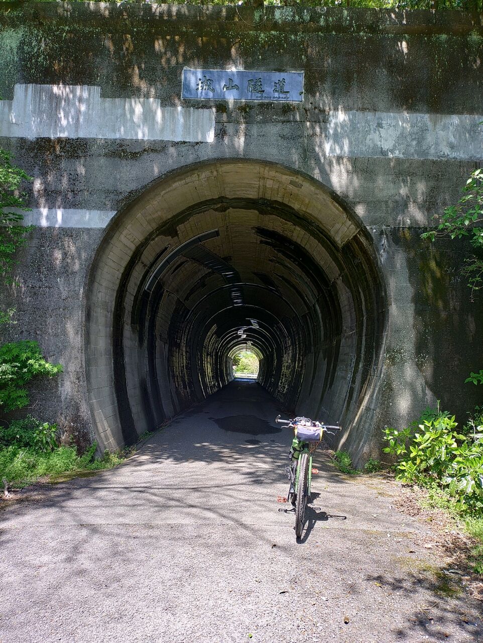 MUIRWOODS 29 SE : Rail20とPursuer、Muirwoodsで行く Kanさんの旅路