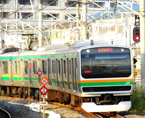 JR東日本 小山車両センターE231系U533編成 : JR各社の鉄道写真