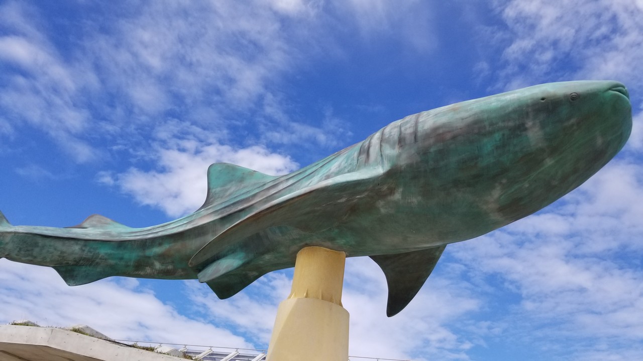 オヤジチャリダー日記 : 15年ぶりに沖縄本島に行ってみた その3