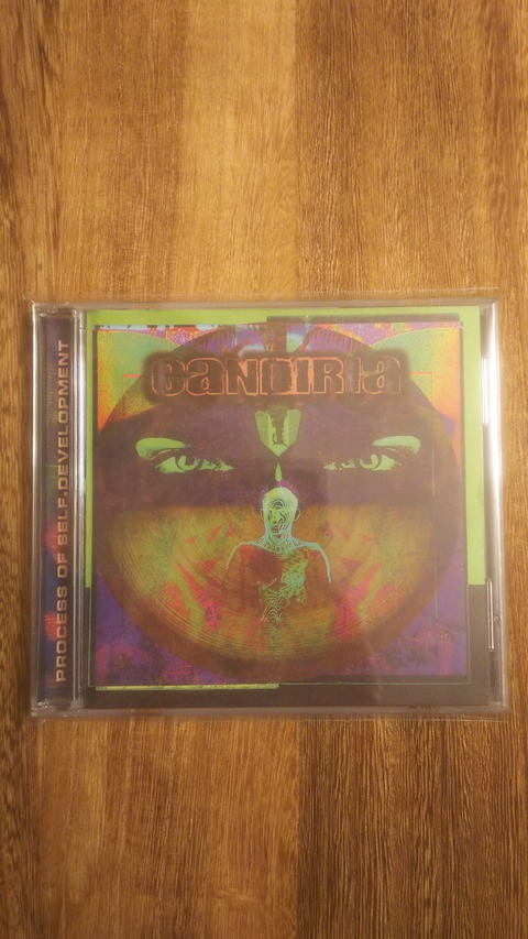 CANDIRIA『PROCESS OF SELF.DEVELOPMENT』 : OBSCURE RAPCORE