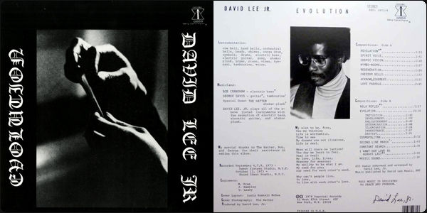 David Lee Jr : RareGroove