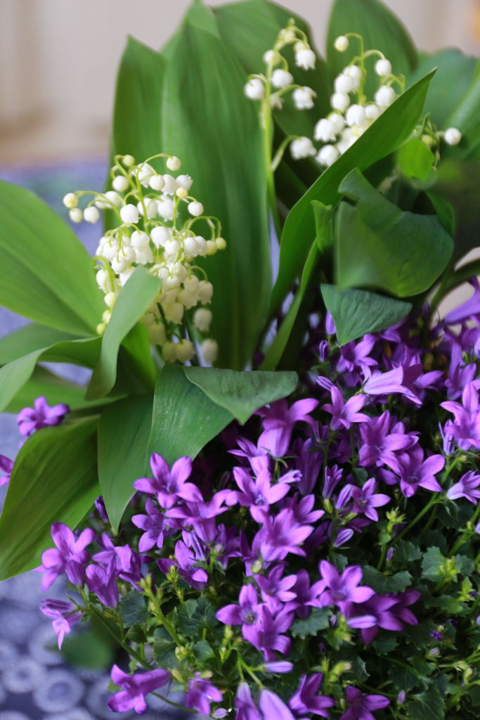 パリ : Reiko Nonaka blog+photo