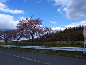 remmikkiのブログ : 2025年03月09日