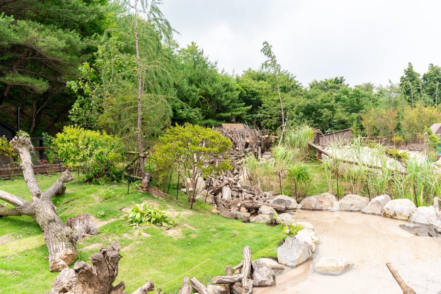 remmikkiのブログ : 那須どうぶつ王国 19日（土）は断水で休園