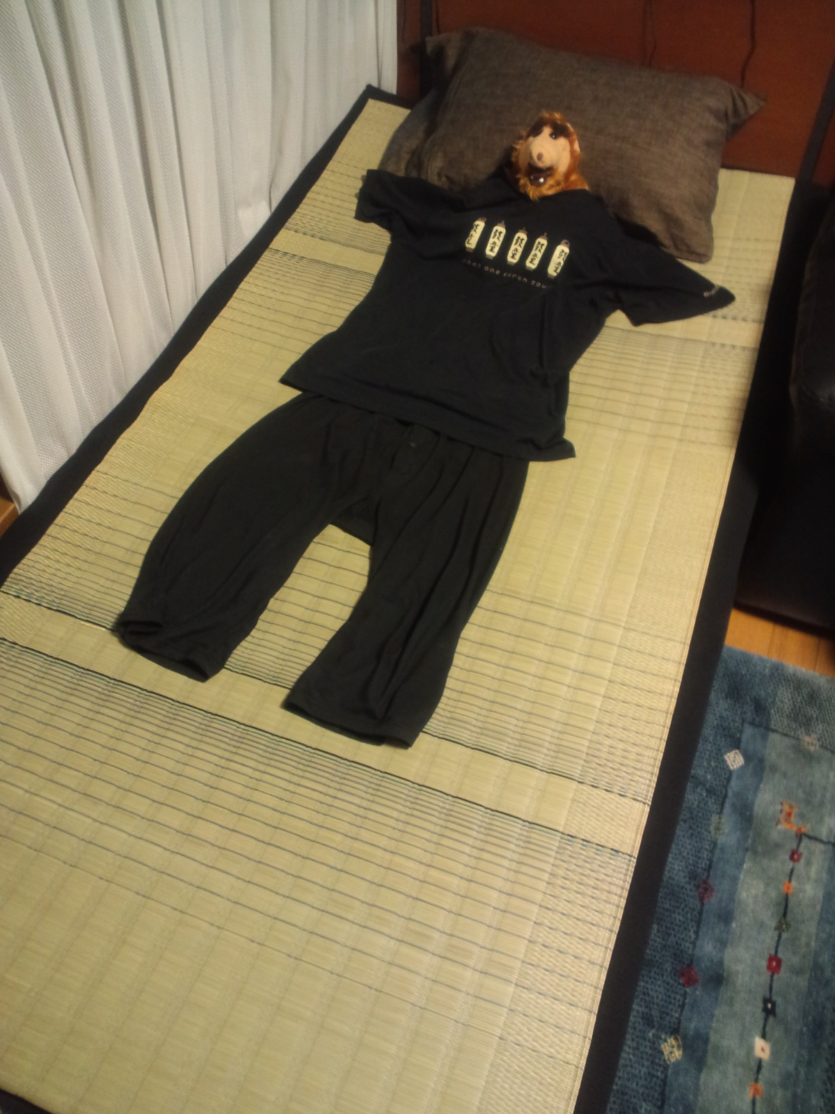 寝るとき。。 : 【蓮風RENPU】和楽器演奏者 村下 正幸のmasablog