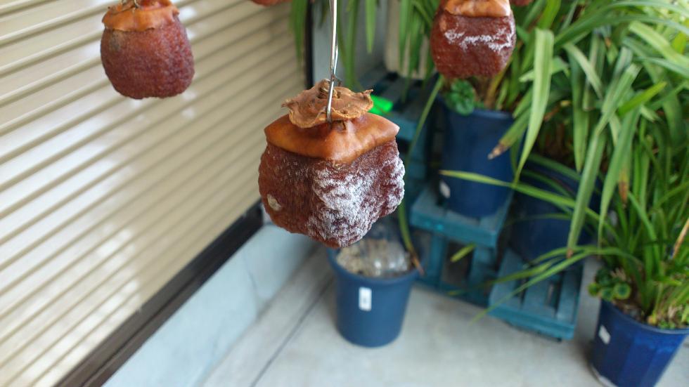 自家製 : 【蓮風RENPU】和楽器演奏者 村下 正幸のmasablog