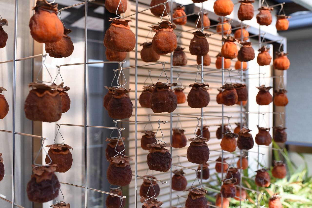 和菓子みたいに甘い干し柿 : 【蓮風RENPU】和楽器演奏者 村下 正幸のmasablog