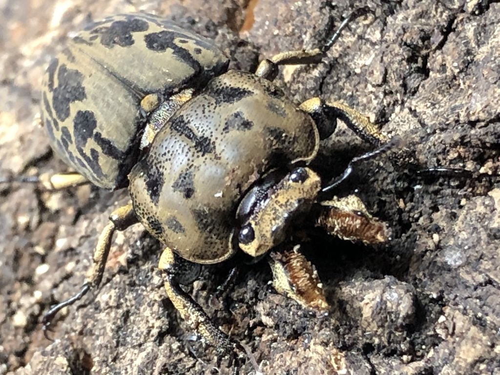 2019年01月07日 : お昼寝するよ！