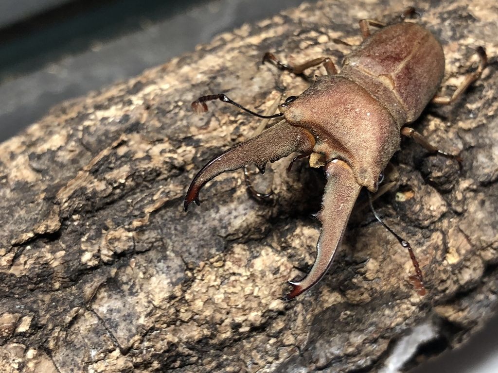 2019年01月15日 : お昼寝するよ！