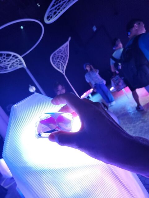 牛に引かれて万博参り : りきまるダイエット日記