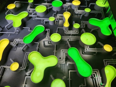 牛に引かれて万博参り : りきまるダイエット日記