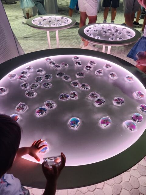 牛に引かれて万博参り : りきまるダイエット日記