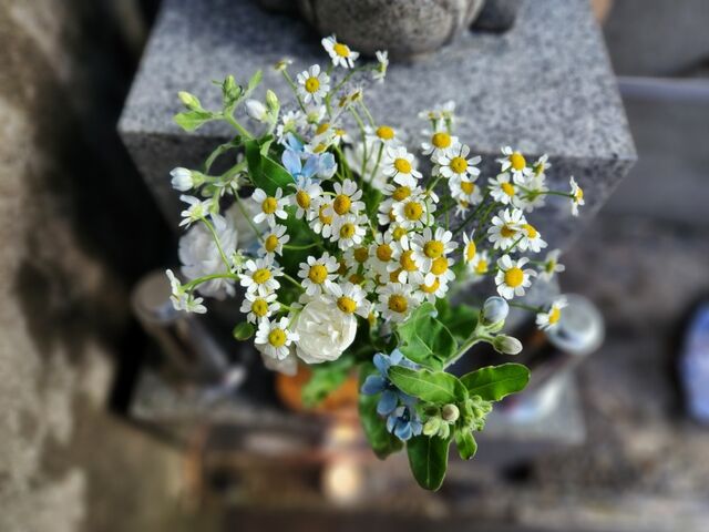 仕事納め : りきまるダイエット日記