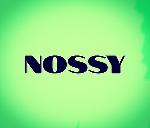 〇ろされそうになる夢を見た...。 : 【ピカソの屍を超えてゆけ】~Nossy のブログ~