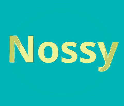 〇〇【自己紹介】〇〇 : 【ピカソの屍を超えてゆけ】~Nossy のブログ~