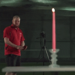 スギ花粉にはご注意を、、、世界のおもしろハプニングGIF画像集その14 : GIF忍法帖