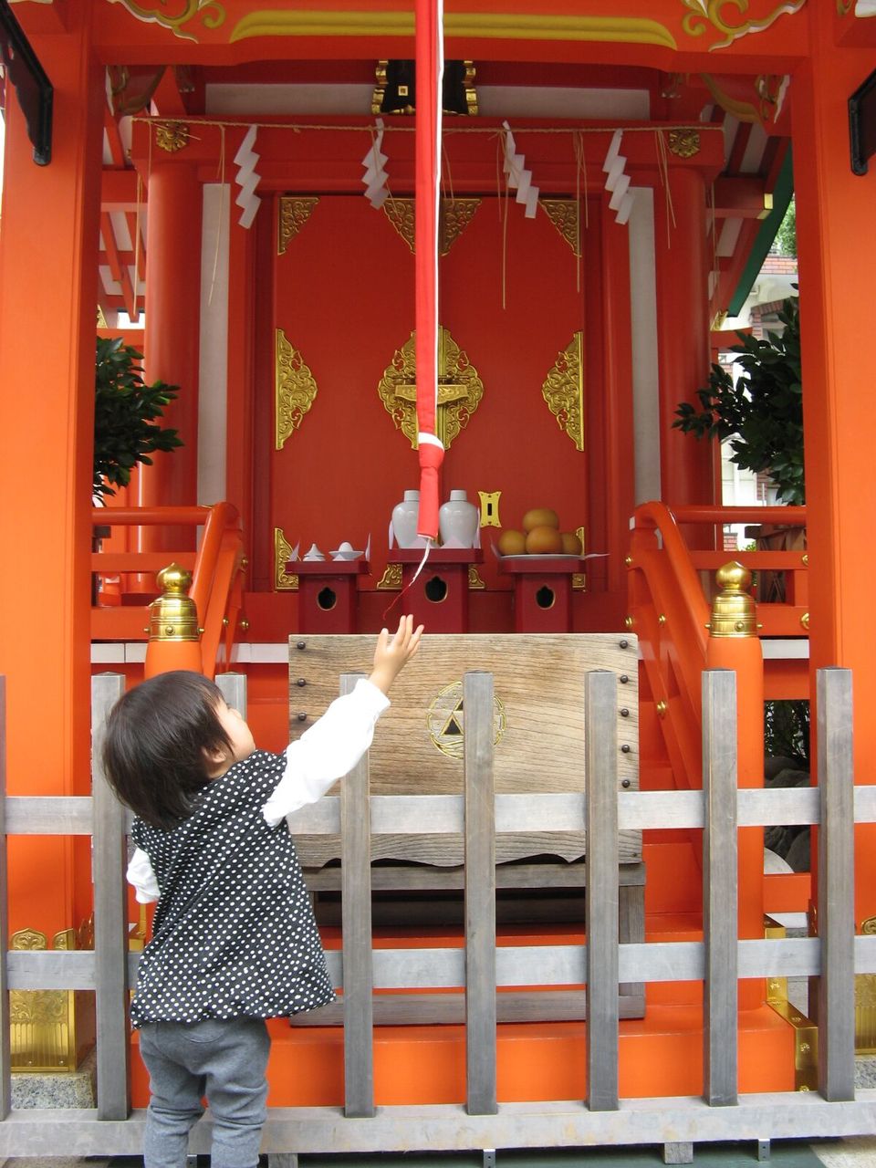 もう「がんがん」なのですわ
