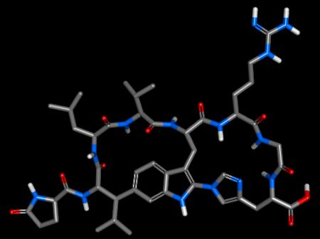 毒にも薬にもなる環状ペプチド : 有機化学美術館・分館