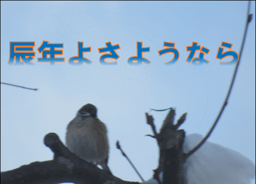 お世話になりました : 一歩前進…ゆっくり歩む
