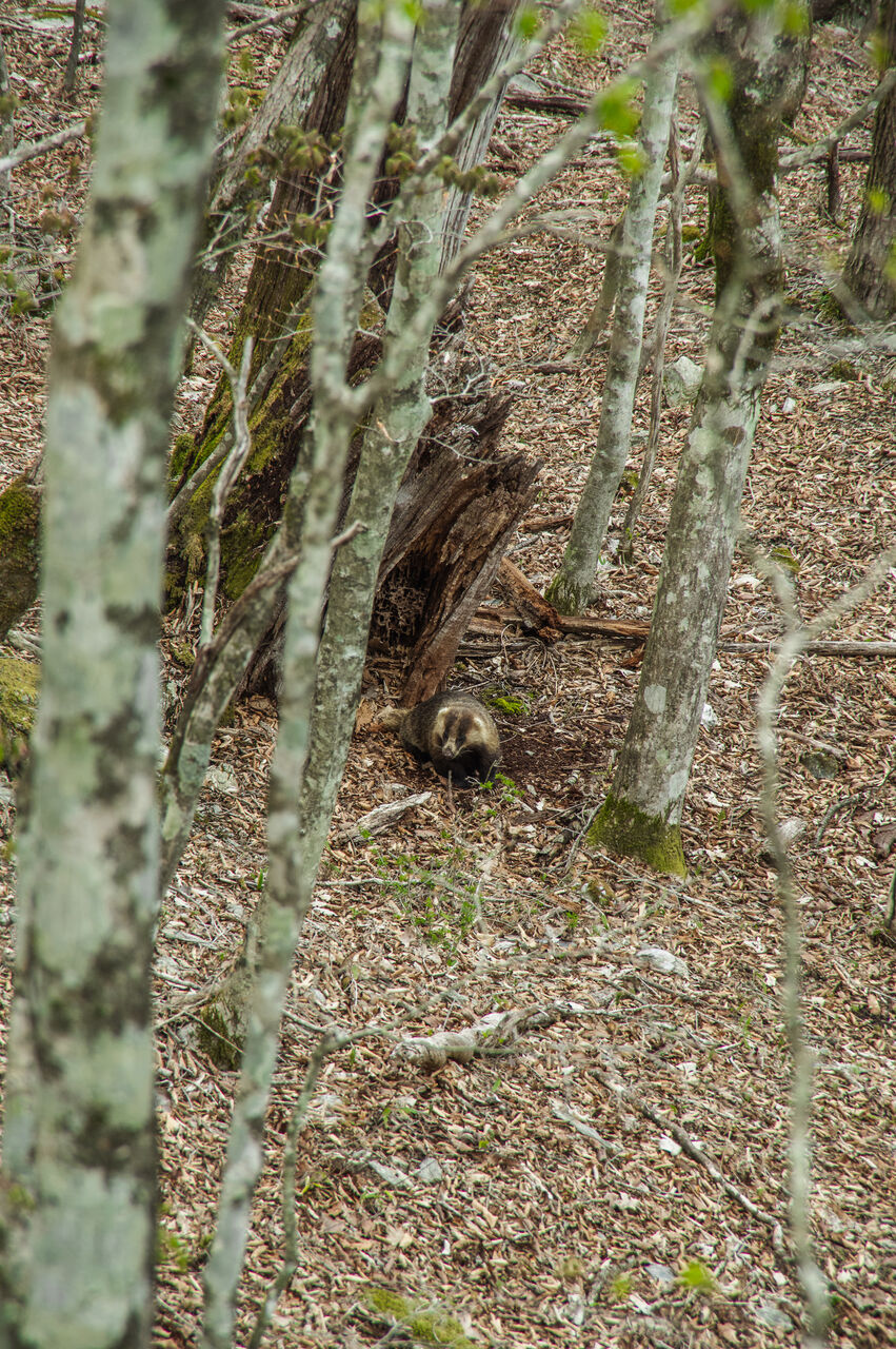RYUのアウトドアログ