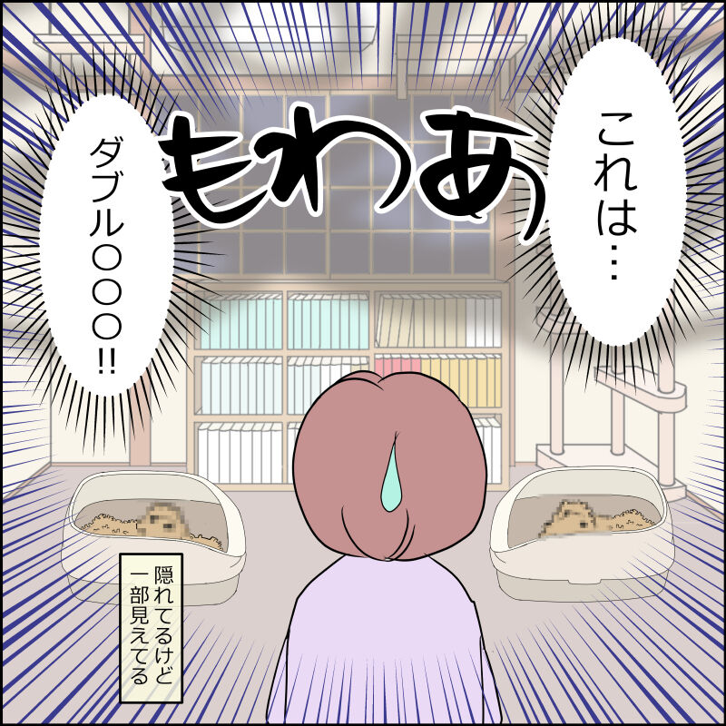 あんこ＆麦1917 楽しい箱散歩 : あんこと麦と Powered by ライブドアブログ