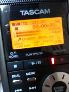 TASCAM DR-2dのDUAL録音 : リュウケイの日々是丹精だわなも