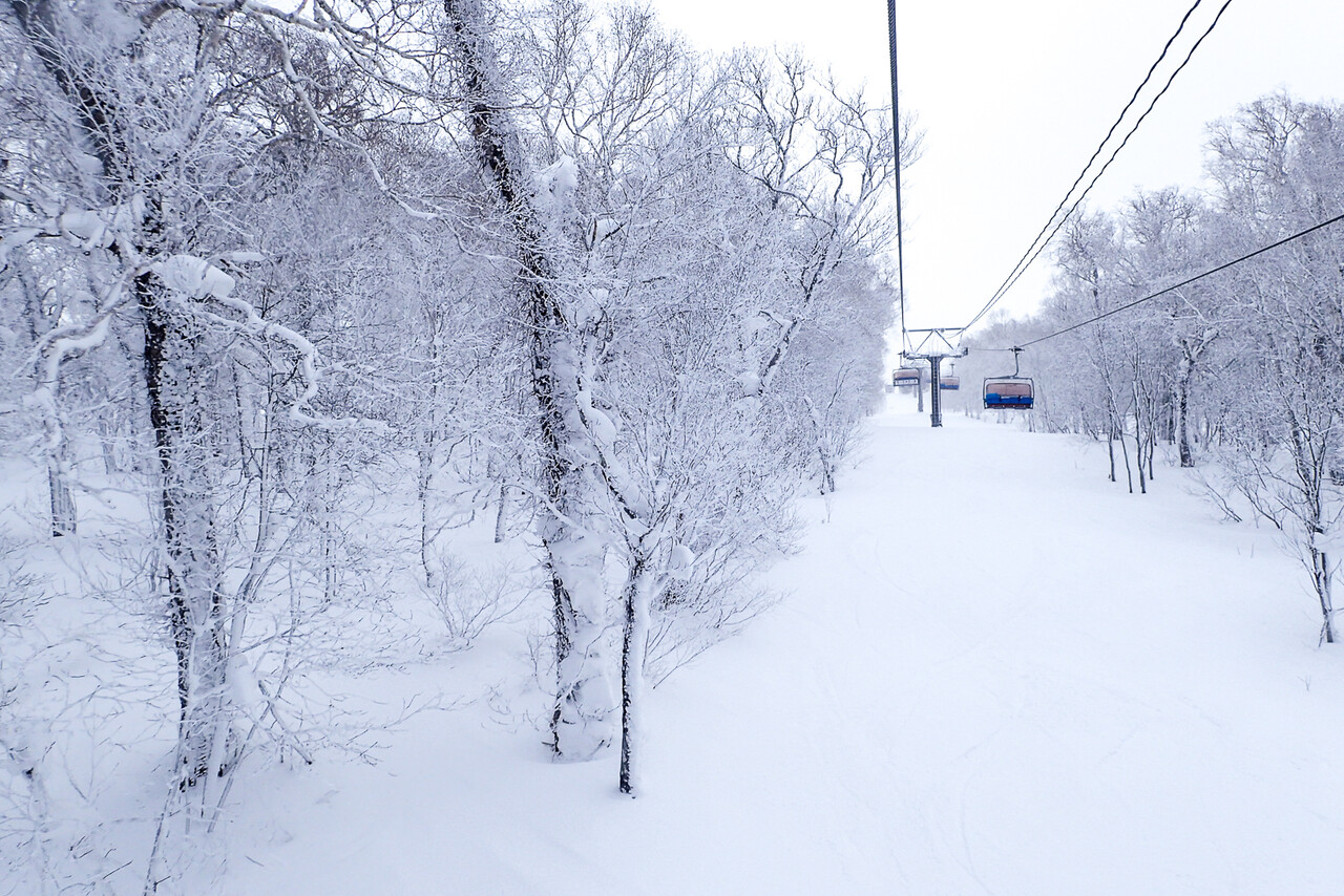Wonderful Powder Snow : 北の小さな町から