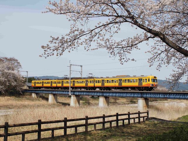 関西線 F-1臨時列車と三岐鉄道 その3 2025.4.5 : 半田の吉田のblog