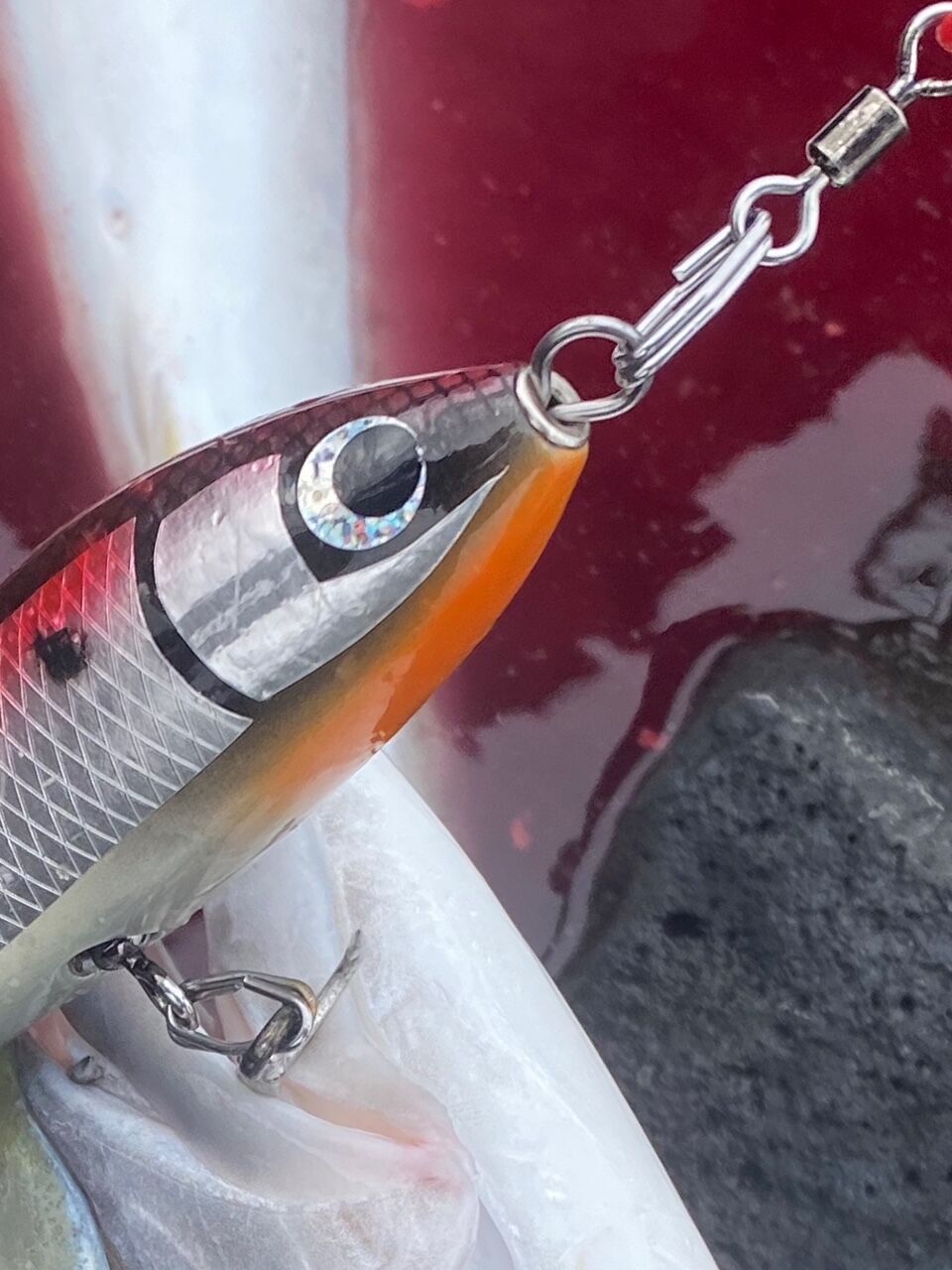 ダイヤモンドリングのすゝめ : SAKURA LURE DIVISION 釣行記