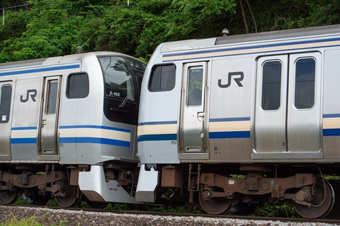 5年目モデラーのひとり言 : E217系Y-101編成+Y-102編成 廃車回送