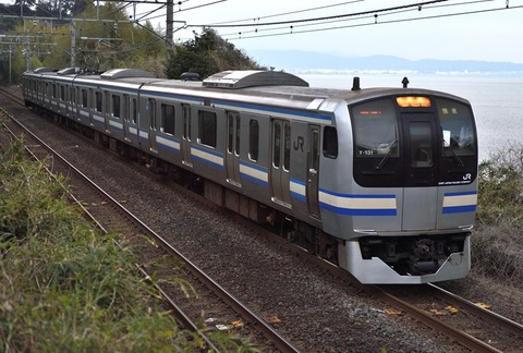 5年目モデラーのひとり言 : E217系Y-131編成 湯河原疎開
