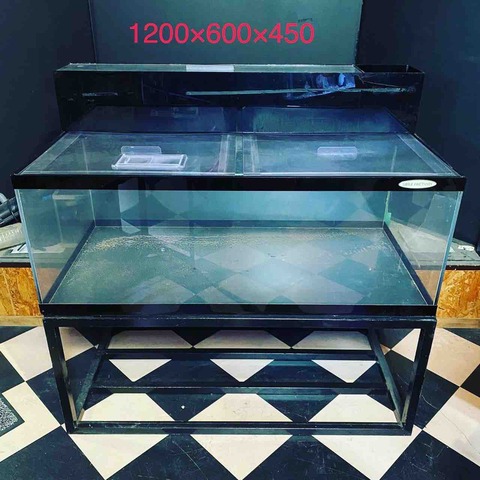 ★中古水槽セット！★ : sansaquaprojectのblog