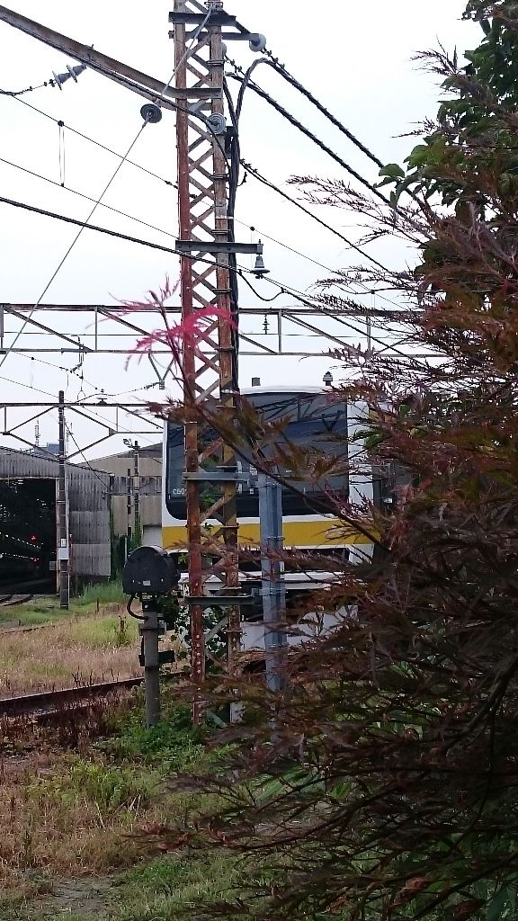 C501編成の今後を考える : Sky blue車両センター