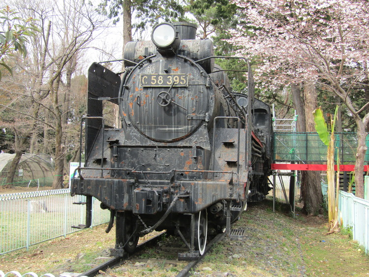 C58 395【東京都羽村市動物公園】 : さとぴーの人生と鉄道保存車両を巡る旅路