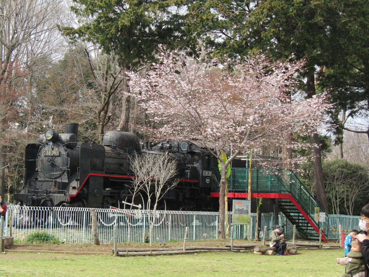 C58 395【東京都羽村市動物公園】 : さとぴーの人生と鉄道保存車両を巡る旅路