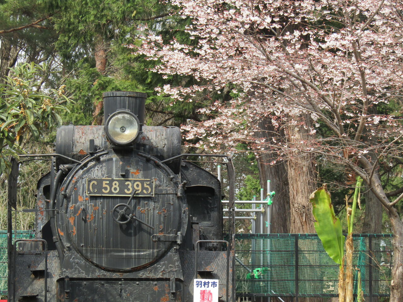 C58 395【東京都羽村市動物公園】 : さとぴーの人生と鉄道保存車両を巡る旅路