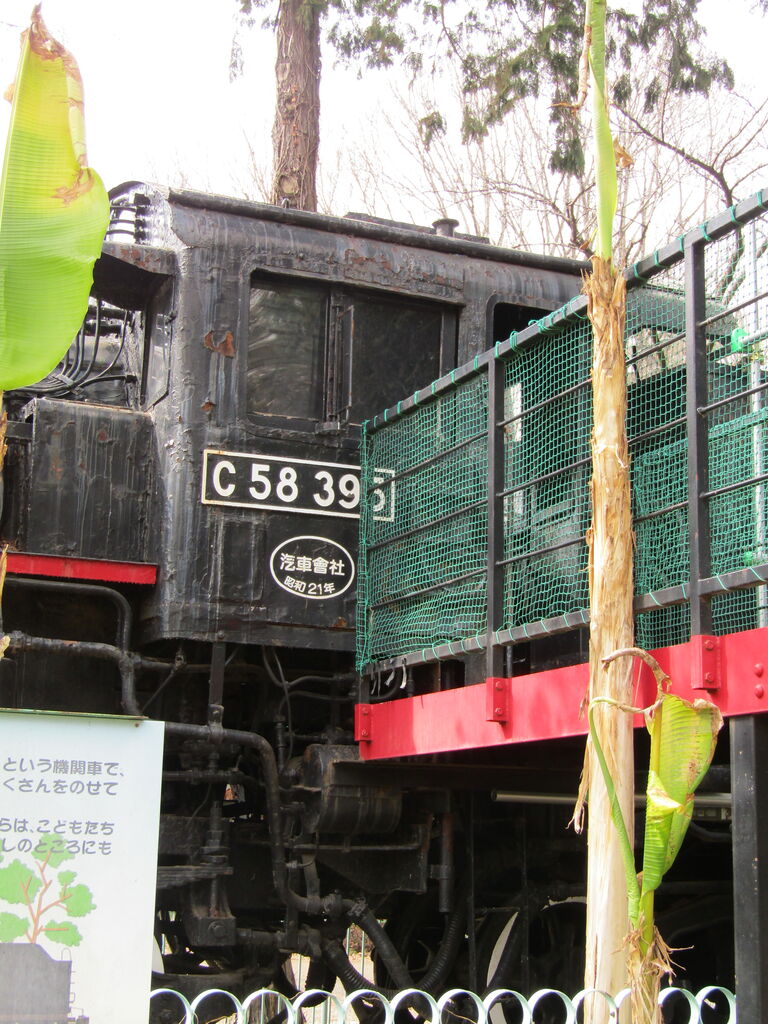 C58 395【東京都羽村市動物公園】 : さとぴーの人生と鉄道保存車両を巡る旅路