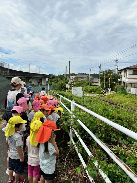 さつきヶ丘保育園:9／22（金）今日のさつきっ子♬