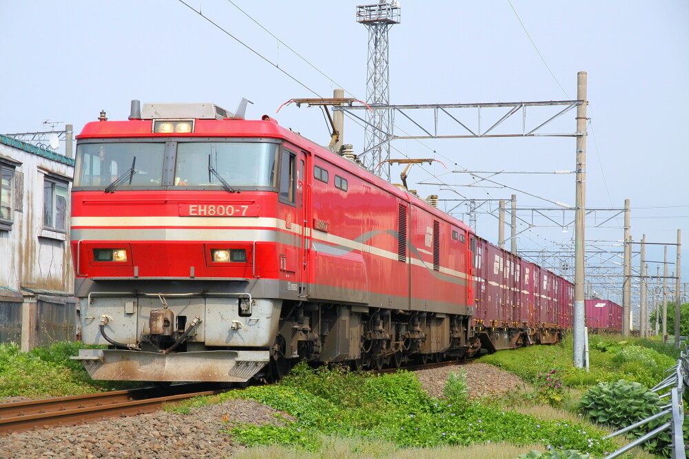 JR貨物 EH800 津軽海峡線 : 鹿児島人の鉄道写真館 in 愛知