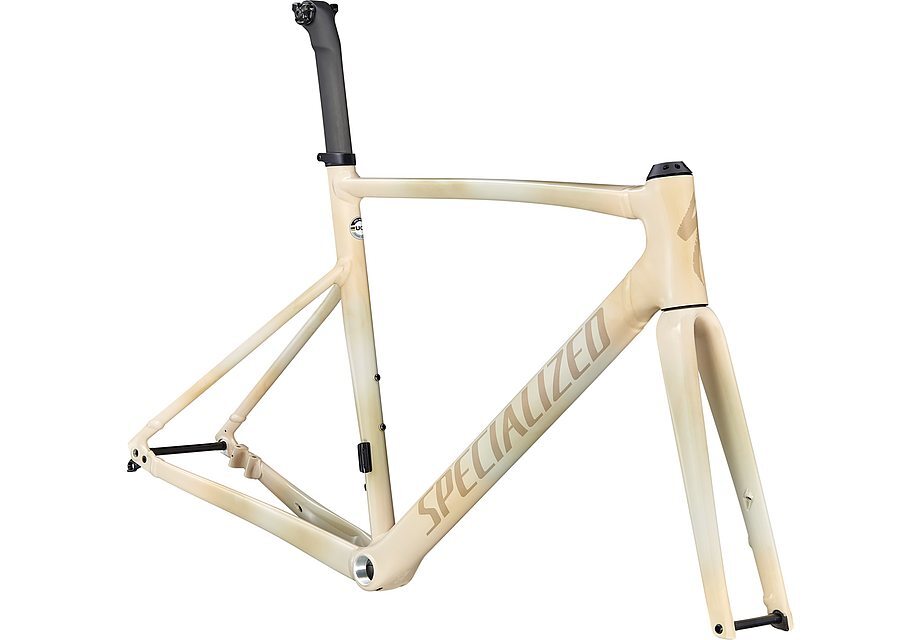 SPECIALIZED ALLEZ SPRINTフルモデルチェンジ!! : SBC 新着情報 SPECIALIZED ALLEZ SPRINTフルモデルチェンジ!! : SBC 新着情報