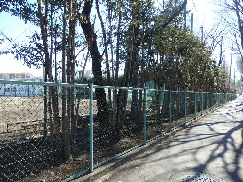 県立所沢北高等学校グラウンド : 野球場巡り
