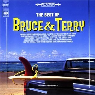 The Best Of Bruce & Terry(紙ジャケット仕様)_Bruce Johnstone & Terry Melcher ...