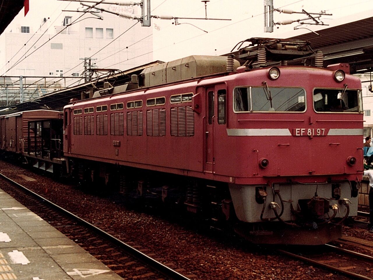 【懐かしい鉄道写真】 EF81 寝台特急「ゆうづる」と常磐線 : 生物実験室＆生物同好会＆鉄道愛好会