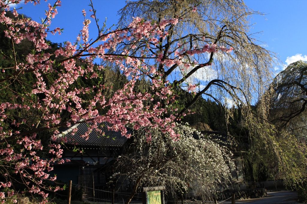 普通の写真 : 12星座を楽しもう