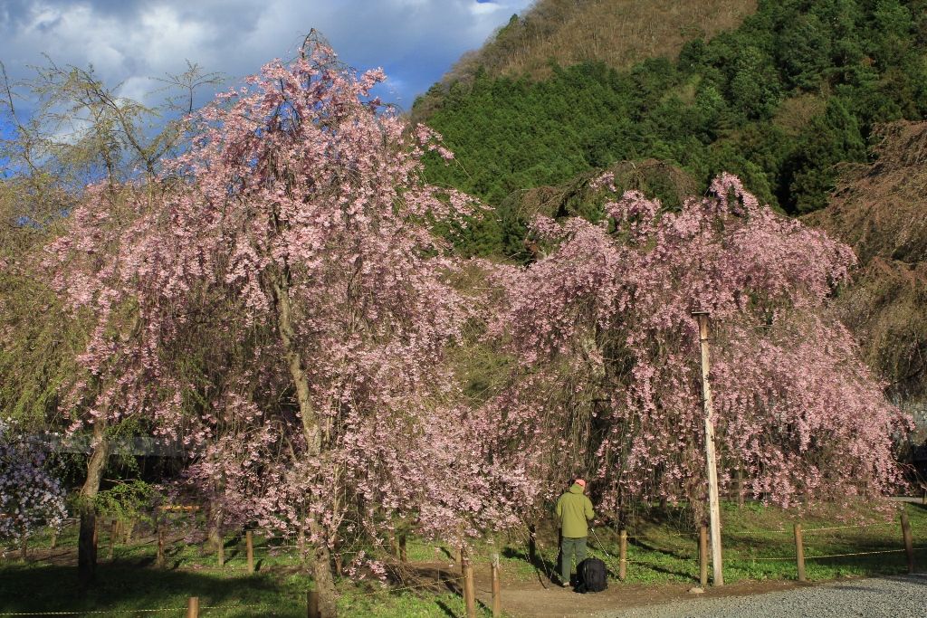 普通の写真 : 12星座を楽しもう