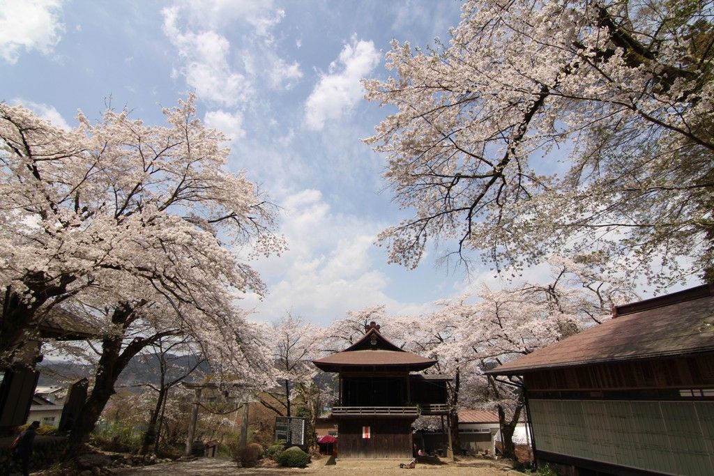 普通の写真 : 12星座を楽しもう